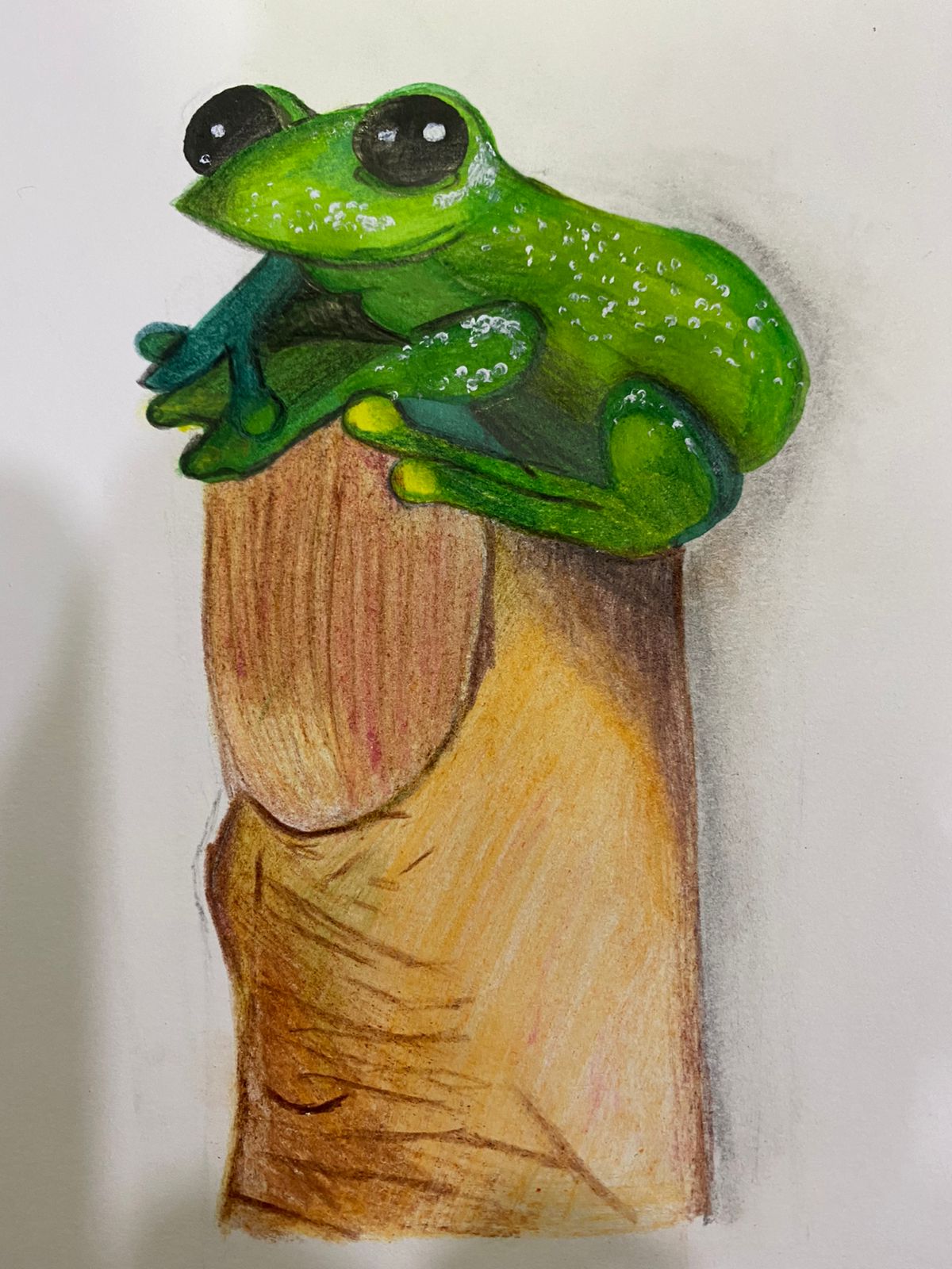 Art Works | Zingzy
